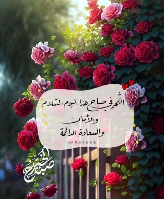 أروع صور صباح الخير 2024 و أجدد عبارات صباح الخير — الويب نيوز